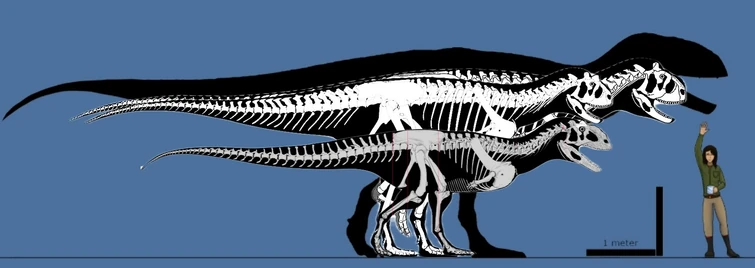 Majungasaurus, Carnotaurus, subadult Pycnonemosaurus and 'Titanovenator ...