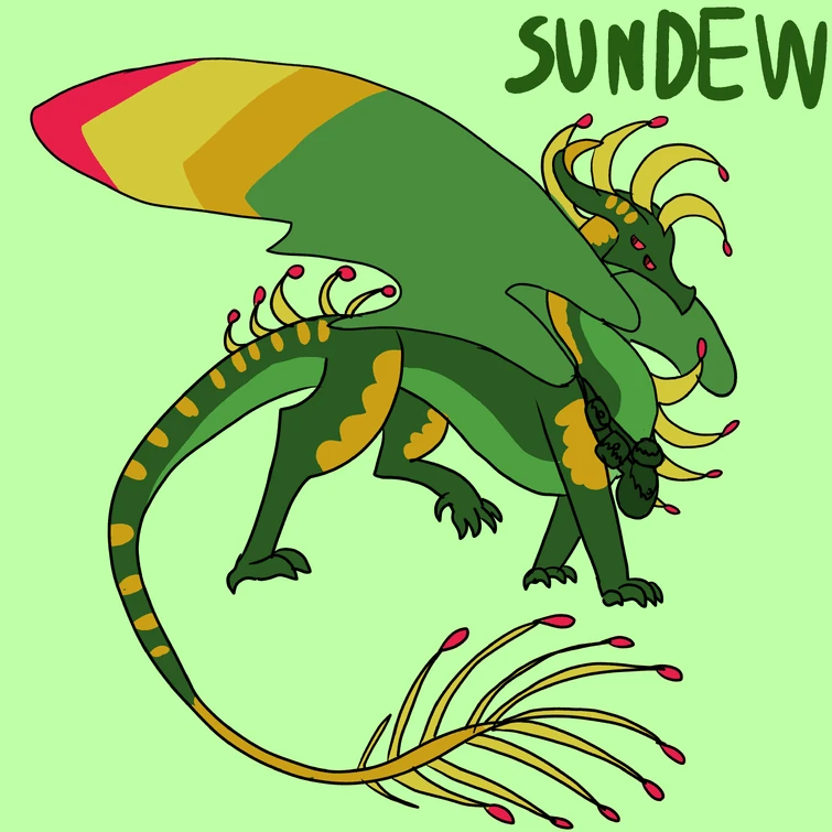 Birb’s WoF designs- Sundew | Fandom