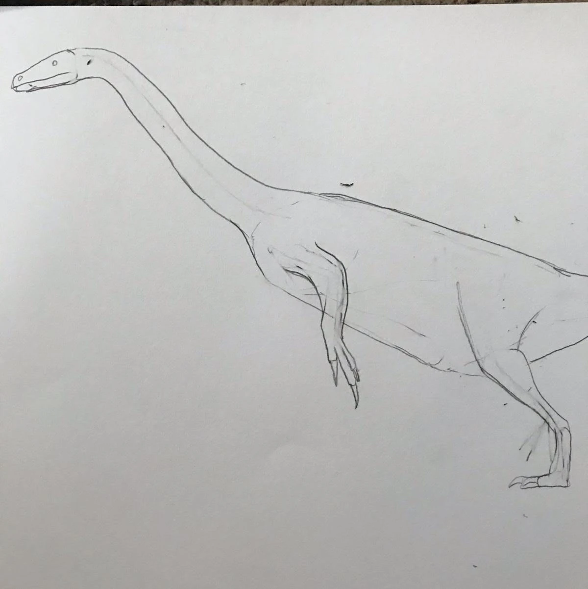 adding speculative features to dinosaurs part 1: Falcarius | Fandom