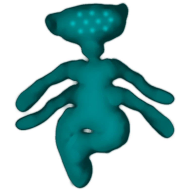 vector from bear* but it shape of vector bear alpha | Fandom