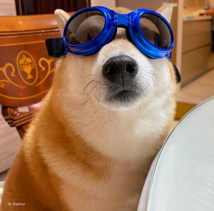 oogly moogly | Fandom