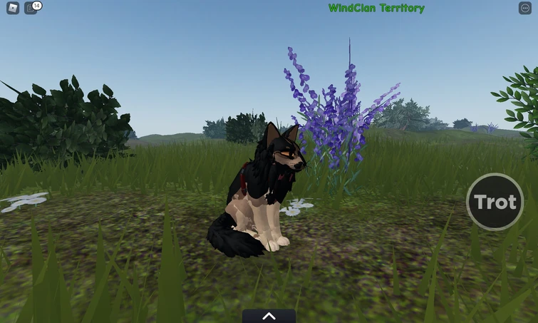 Morph Showcase! | Fandom