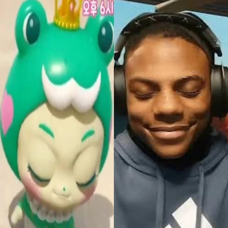 PLEASE FROGPING I NEED THIS!!!! (Spoiler but also meme) | Fandom