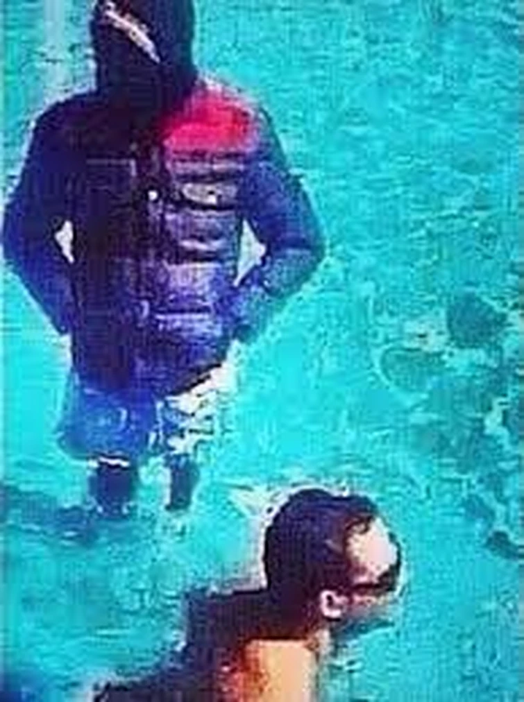 Discuss Everything About The Bugbo Wiki | Fandom