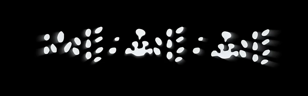 THE COUNTDOWN BEGINS | Fandom