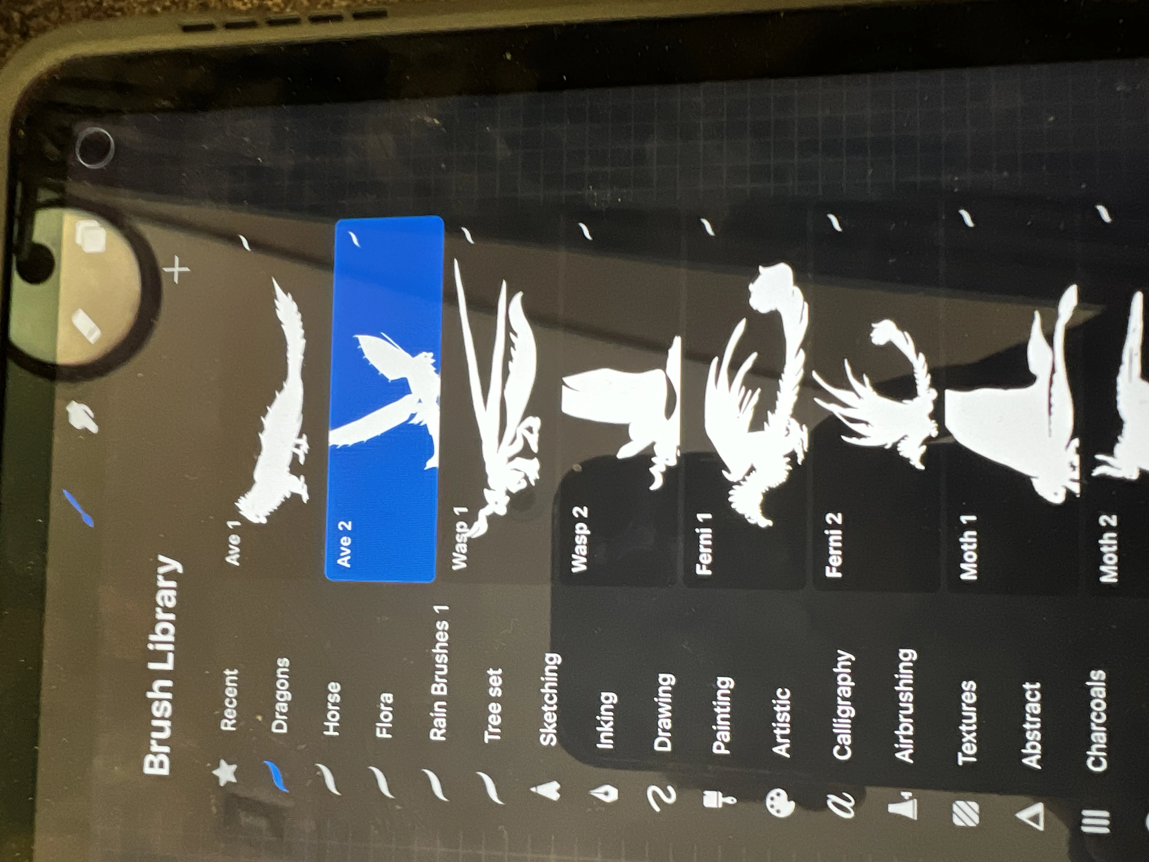 Dragon pictures needed (side profiles) | Fandom