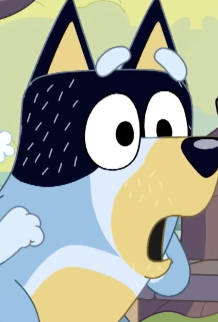 I randomly paused Bluey episodes and here's what images I came across ...
