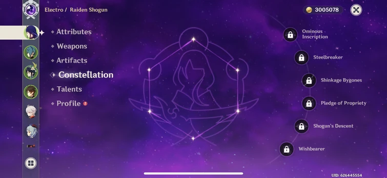 Rate my raiden build | Fandom