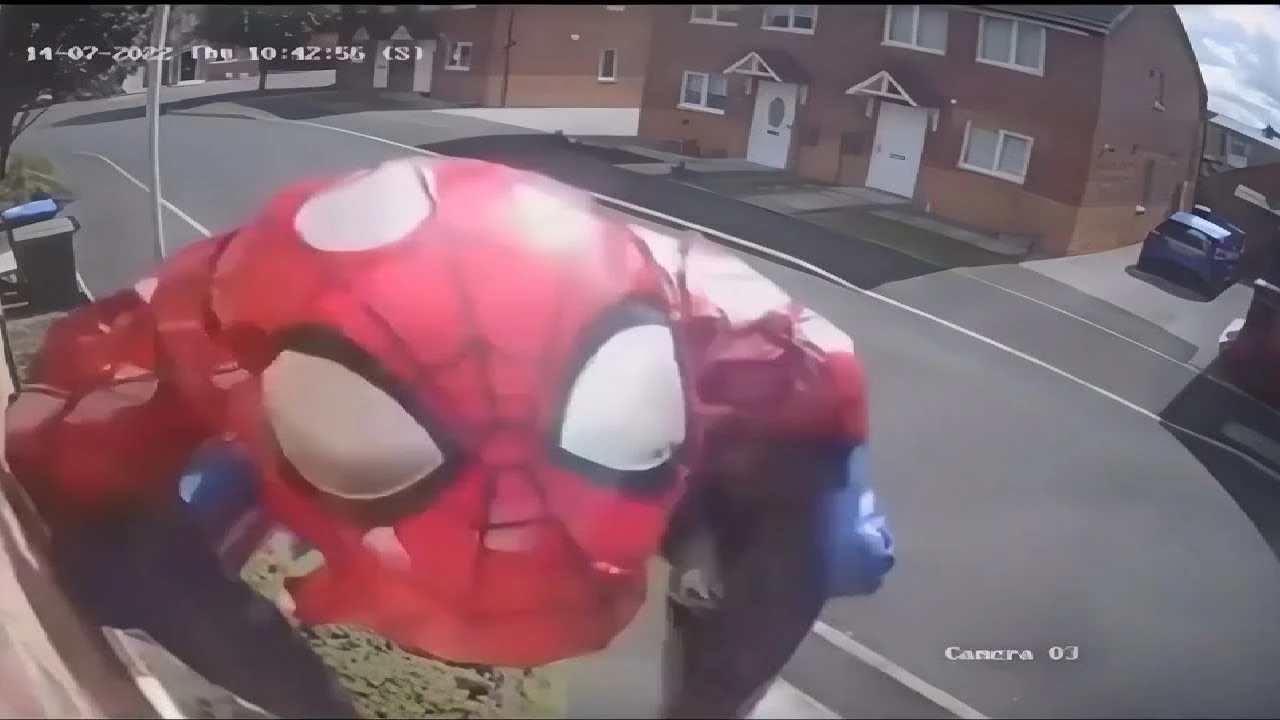 why vee x shelly | Fandom