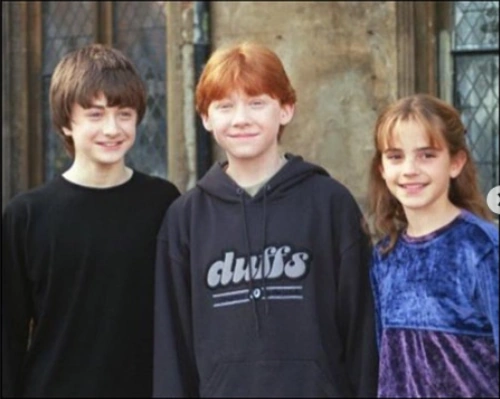 The HP cast is coming back together!!! | Fandom