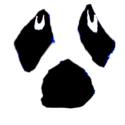 We doesn't make this entity | Fandom