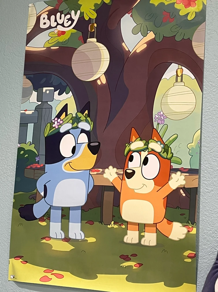 Hi Bluey fandom! | Fandom