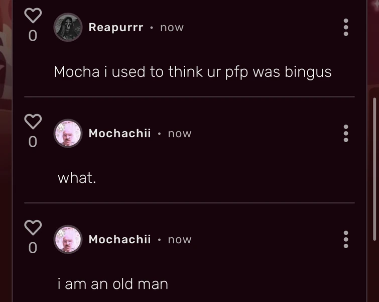 Bingus I love you | Fandom