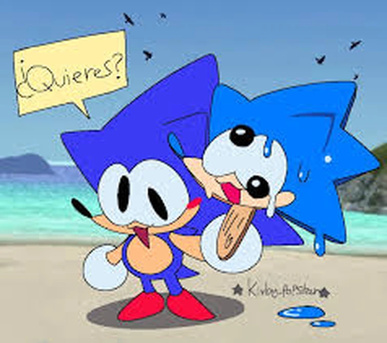 sonk and EVILL sonK | Fandom