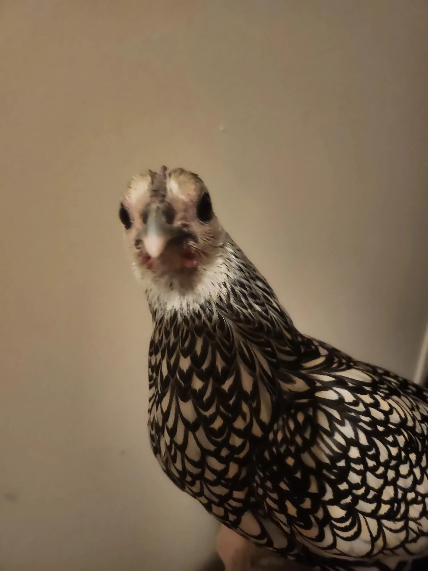 I'm quitting 😁 | Fandom