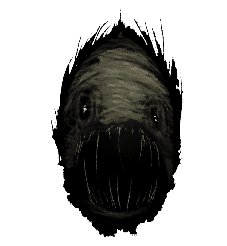 Fanmade Monster:Fisher | Fandom