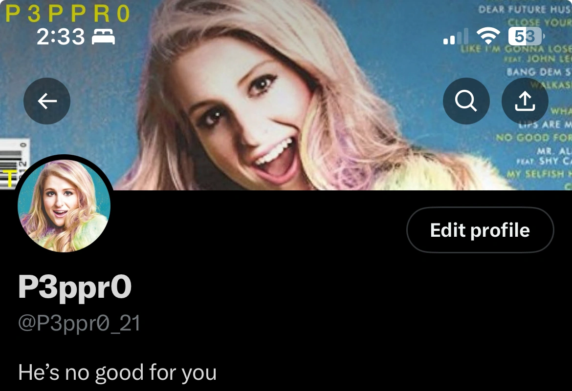 Does anyone like my new pfp, banner and desc in twitter? | Fandom