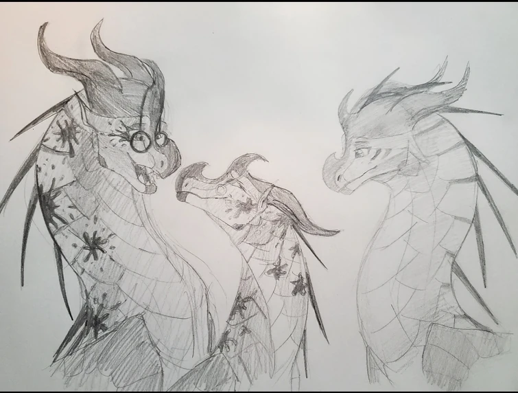 Discuss Everything About Wings of Fire Wiki | Fandom