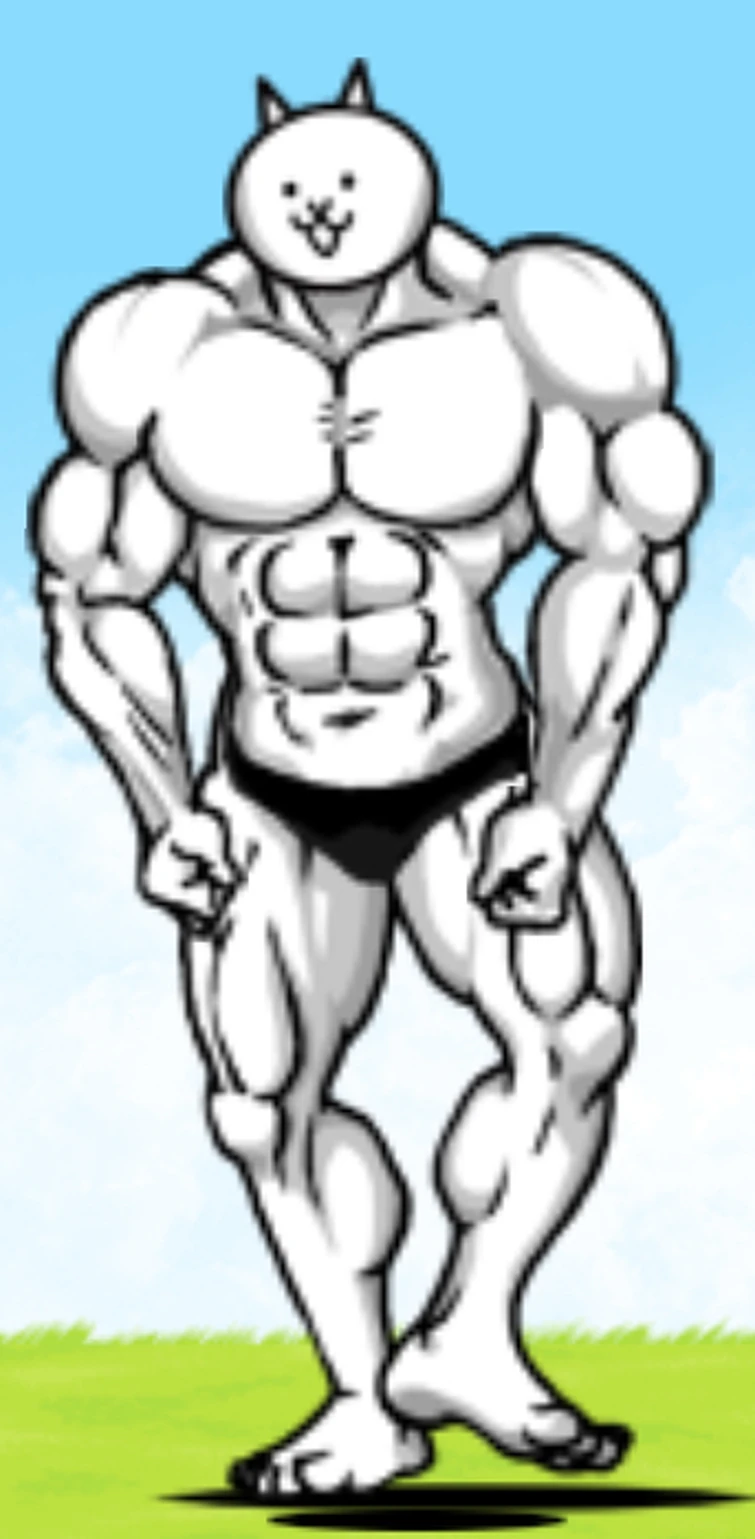 Salon cat got legs *its a sexy legs cat behind it* | Fandom