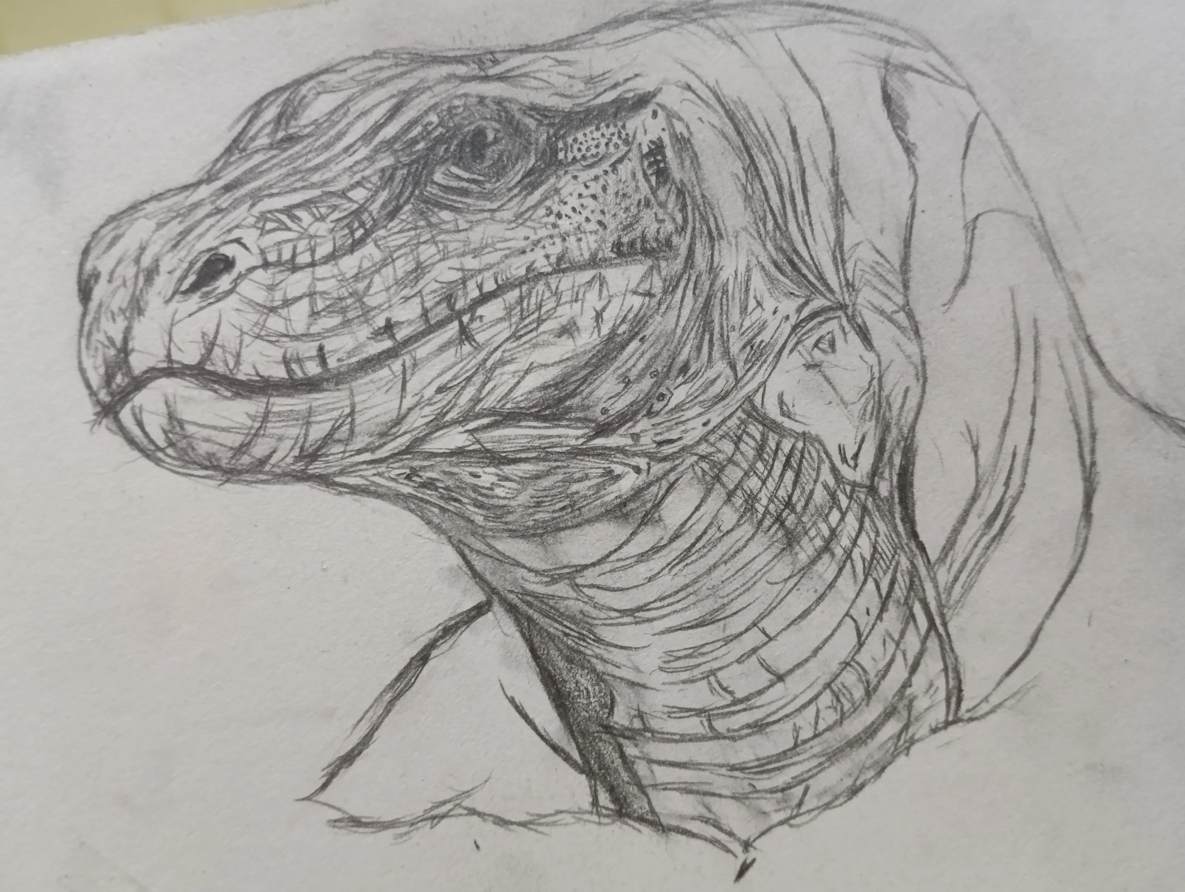 Chat how much details is too much details | Fandom