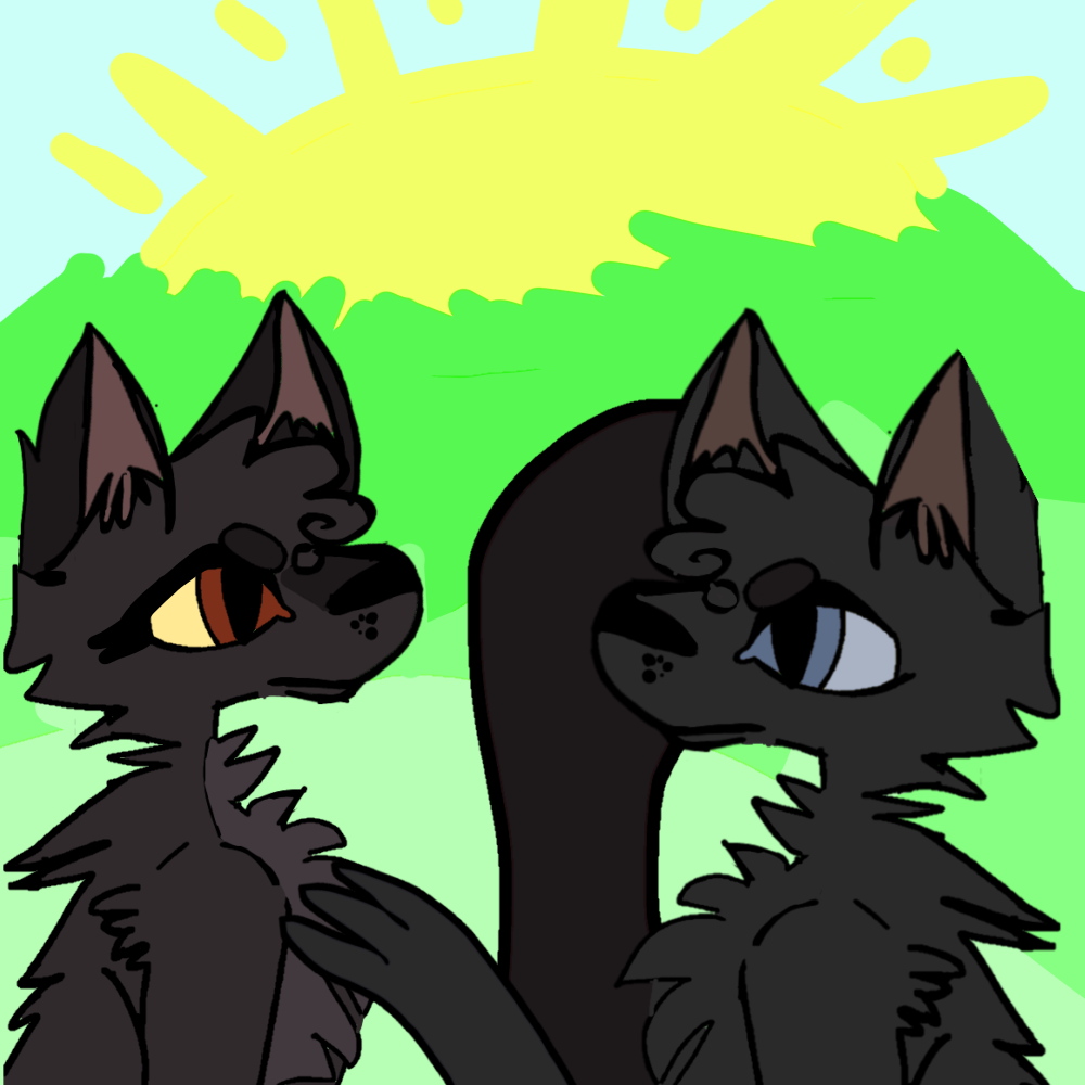 Warrior Cats Crowfeather And Nightcloud
