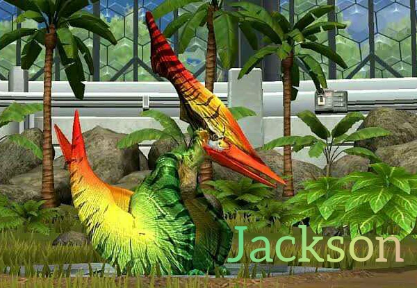 Meet Jackson | Fandom