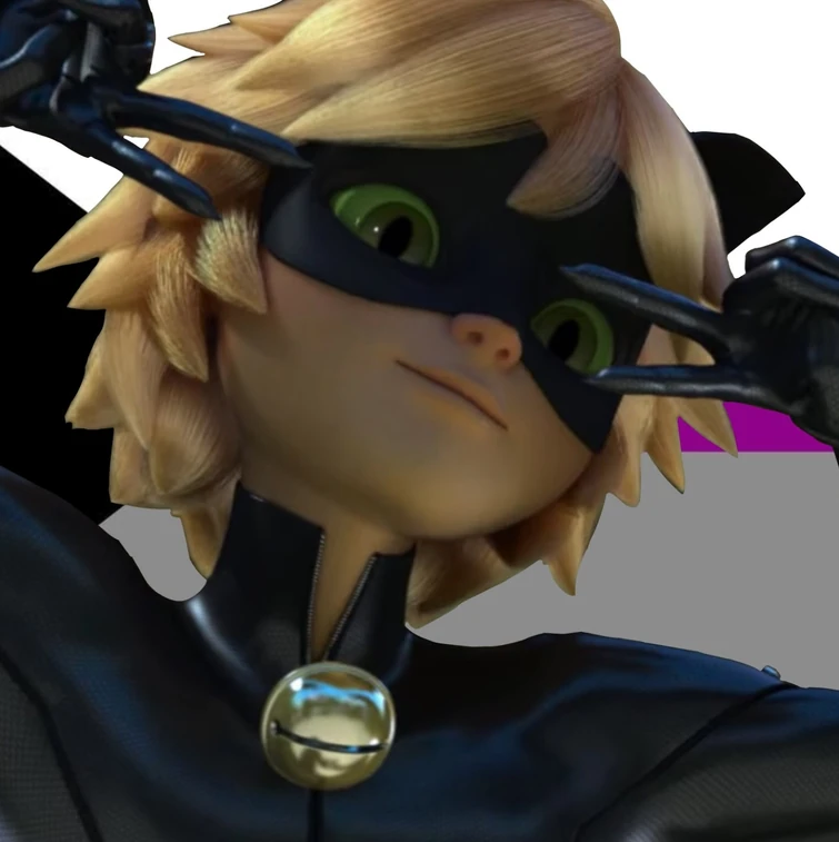 Chat Noir Pride 🏳️‍🌈 Icons! | Fandom