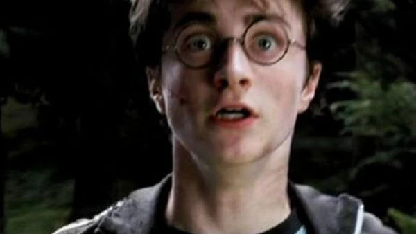 If Harry didn't make it out alive... | Fandom
