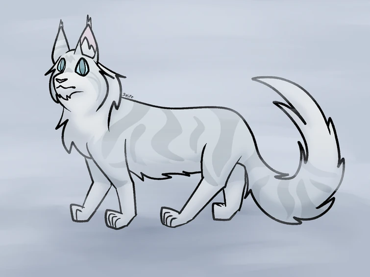 drawing cats based on tma entities part 2 | Fandom