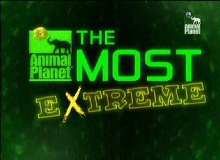 Animal planet al extremo (2002-2007) | Fandom