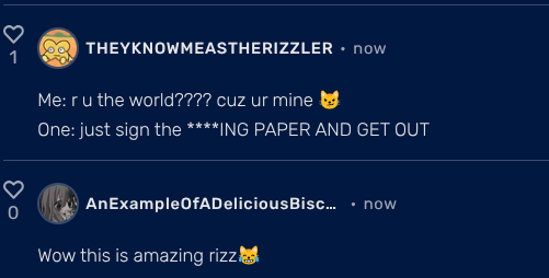 proof i am THE rizzler | Fandom