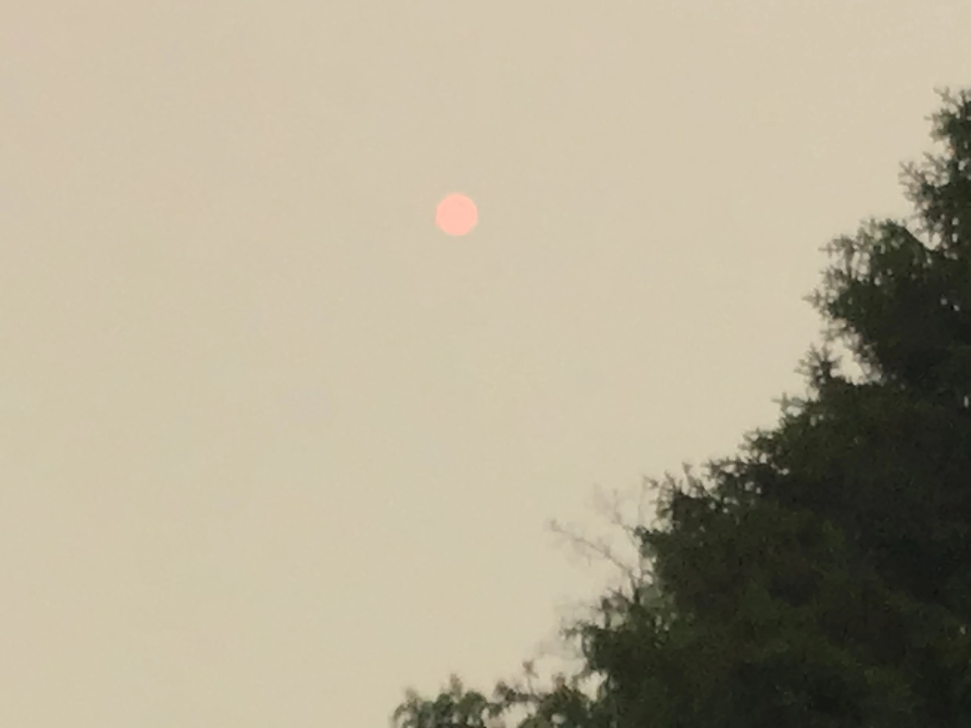 The sun is red | Fandom