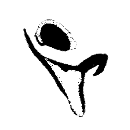 Leaked Entity Remake | Fandom