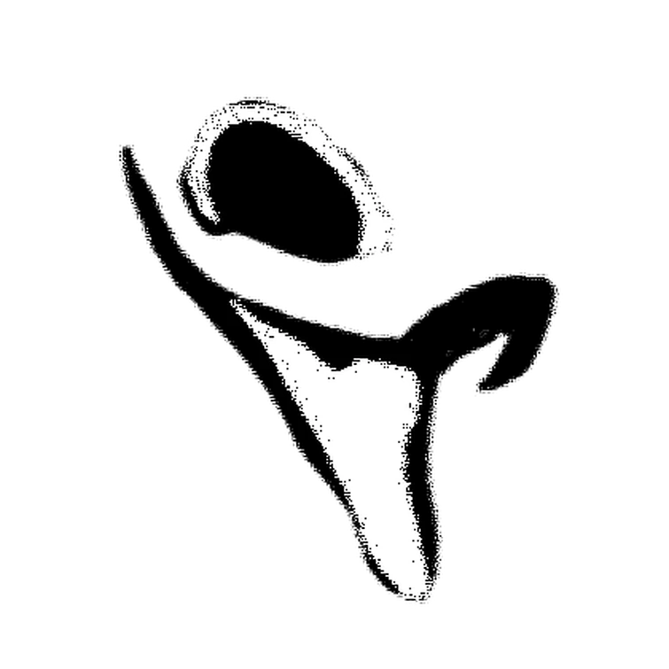 Leaked Entity Remake | Fandom