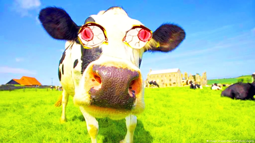 MOOOOOOOzan🐮🐮🐮🐮🐮🐮 | Fandom