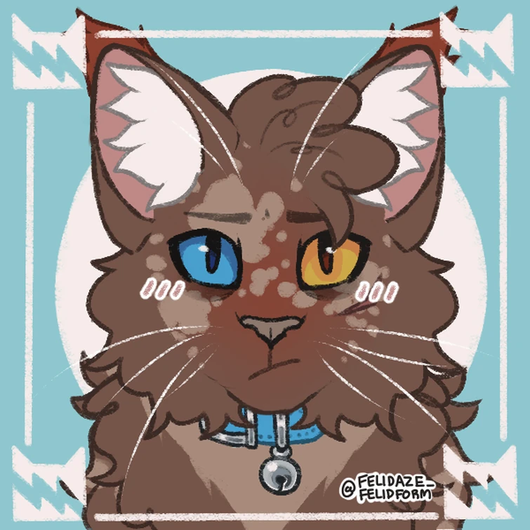 Ninjago warriors cats *small blood warning* | Fandom