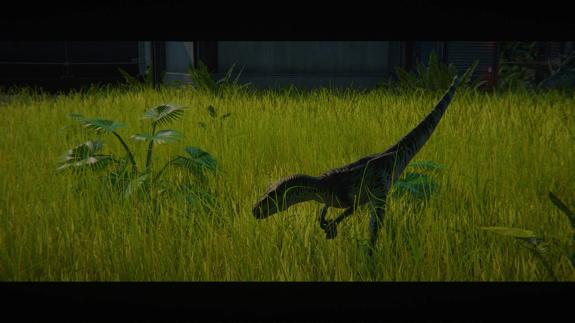 Raptor hunting compy | Fandom