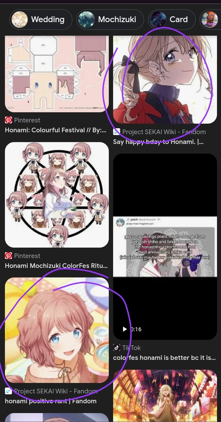 HonamisApplePie ref | Fandom