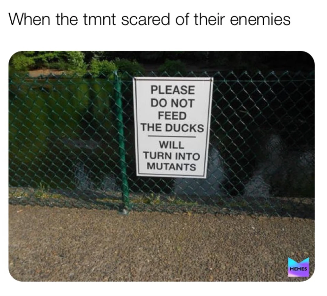 TMNT Meme Of The Day | Fandom