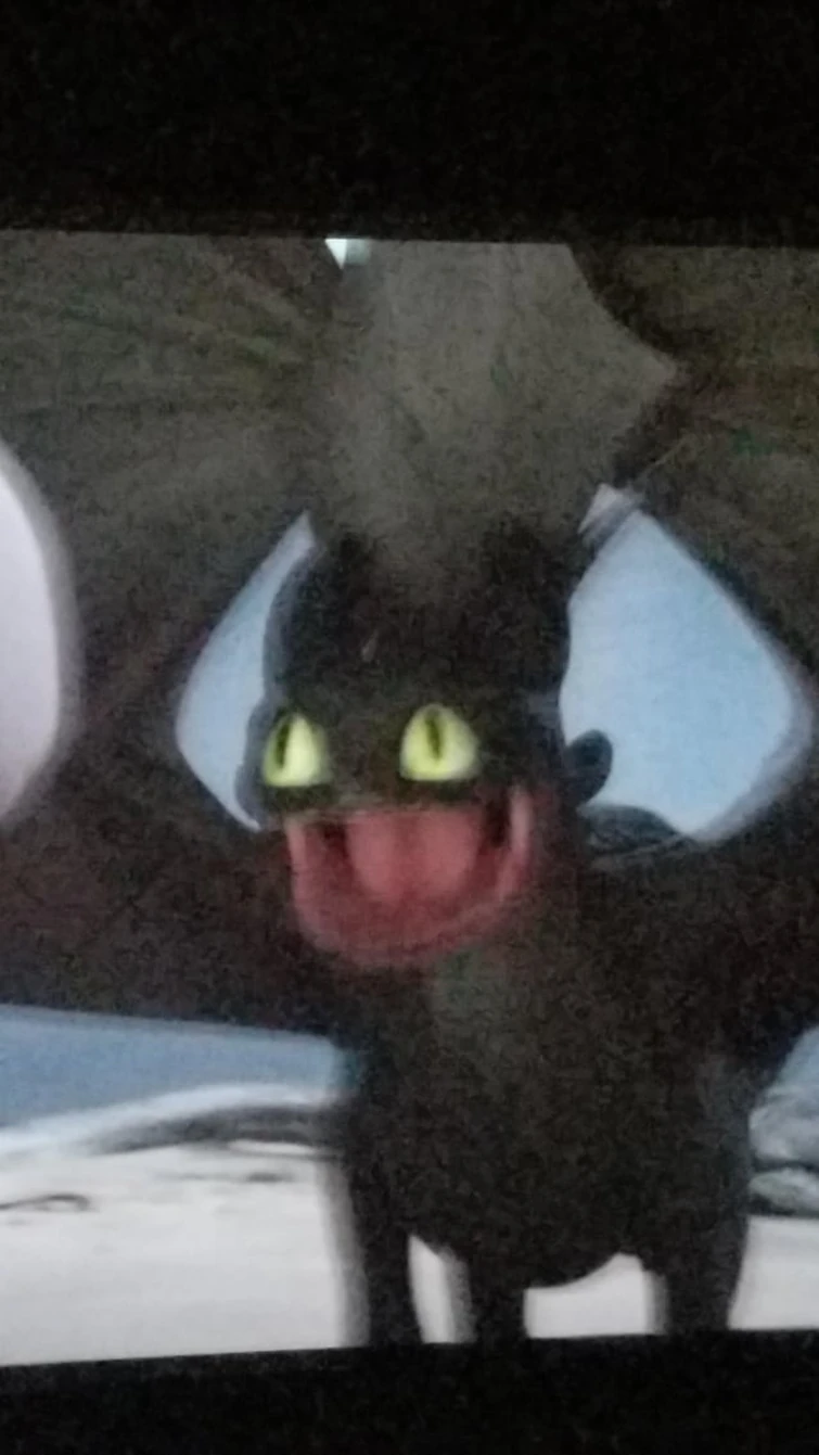 What I see when I see felliso: | Fandom