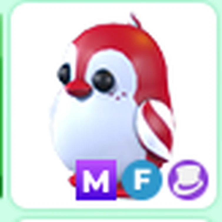 Discuss Everything About Adopt Me! Wiki | Fandom