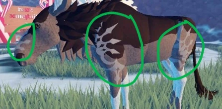 LF Alces with a specific trait for my breeding project! + some lilac ...