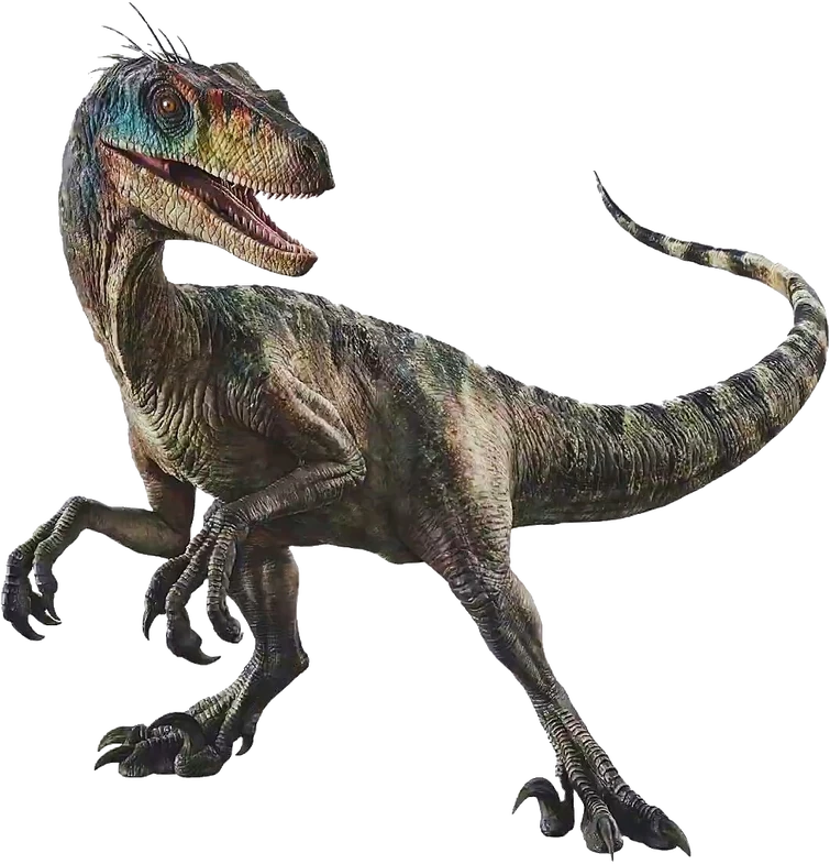 new renders of jwr dinosaurs (transparents) | Fandom
