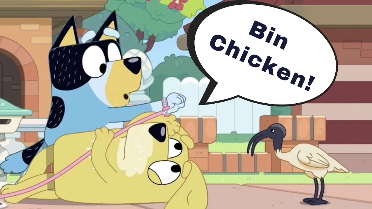 Aussie words in Bluey. Do you know 10 out of 10? | Fandom