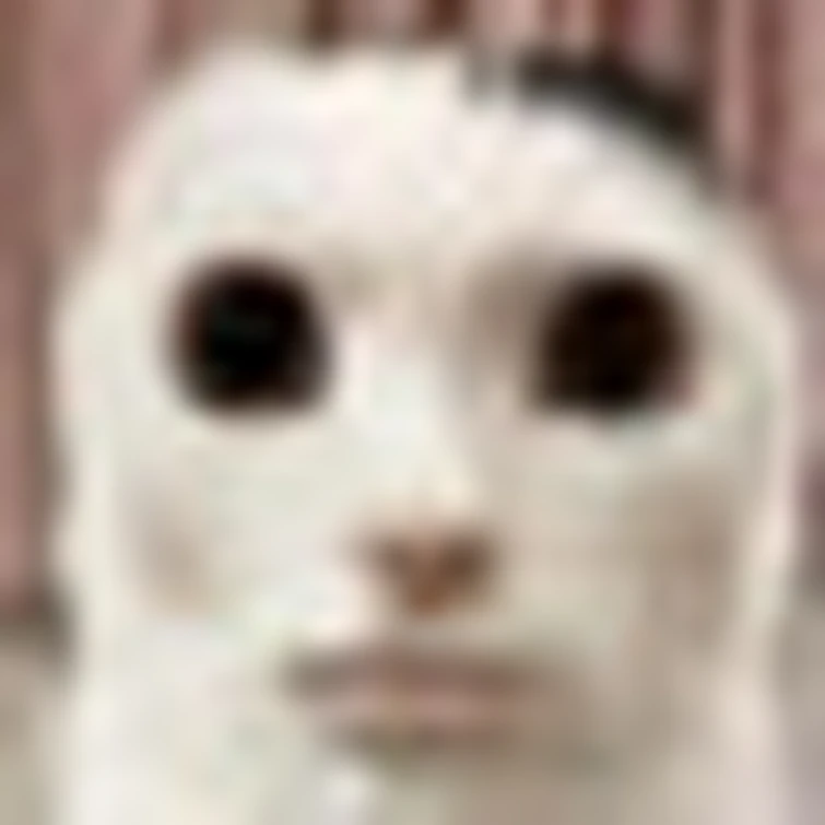 I have no words lol | Fandom