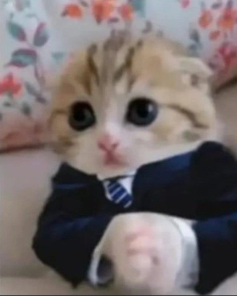 We all know | Fandom