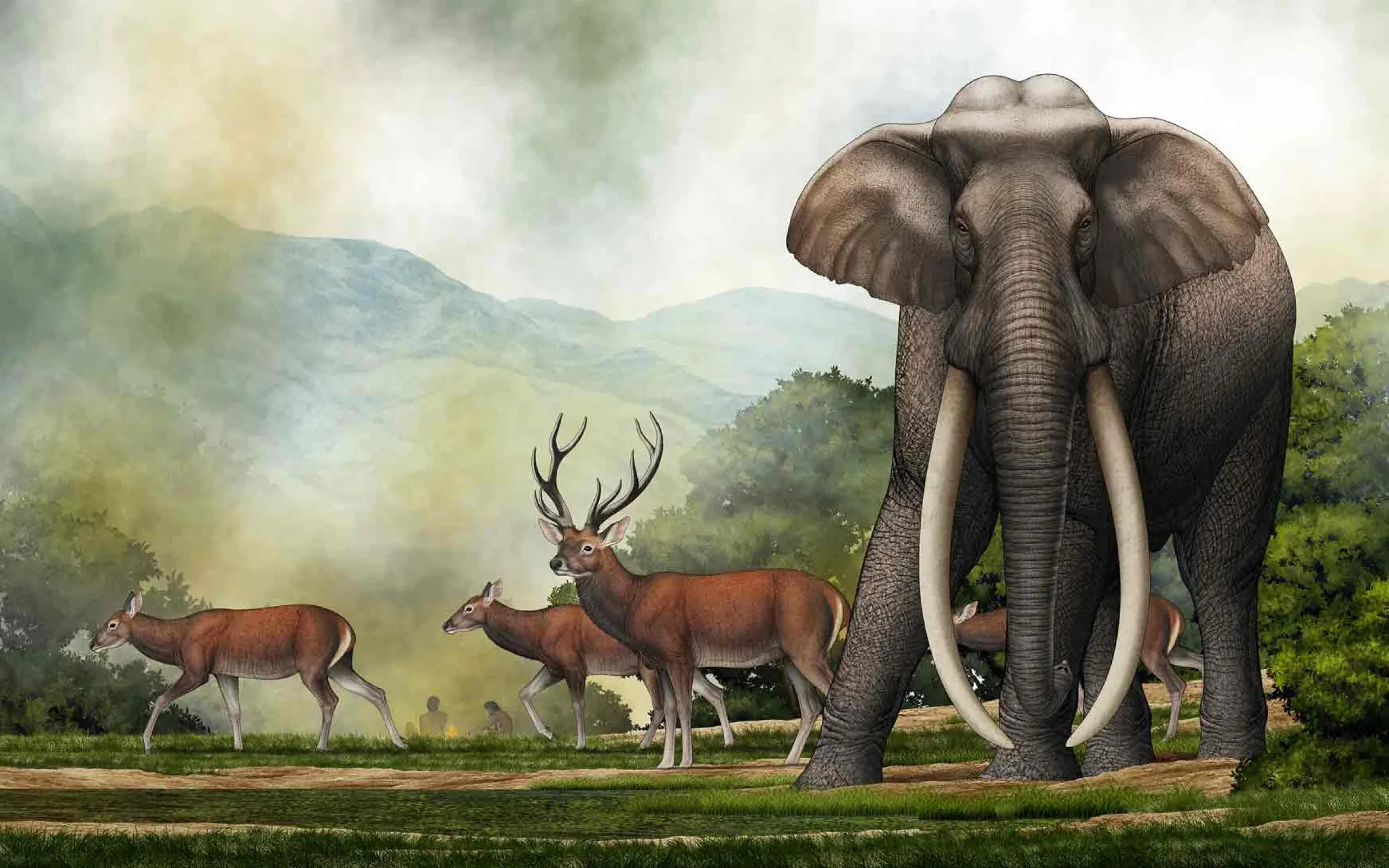 New [ Giant ] Elephant Alert ! A new Gigantic elephant species from ...