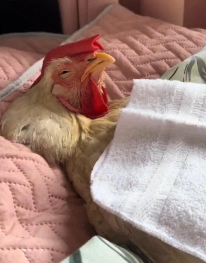 fighting for my life rn | Fandom