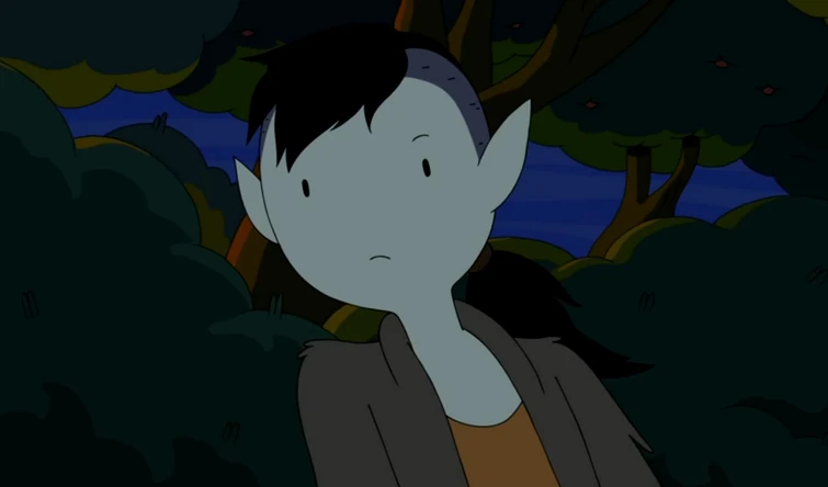 The similarity of Marceline and Ash's hairstyles | Fandom