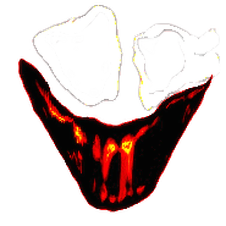 OMG ITS CCC-45 | Fandom